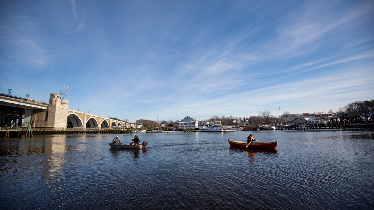 International Programs | Program in Liberal Medical Education | Medical ...