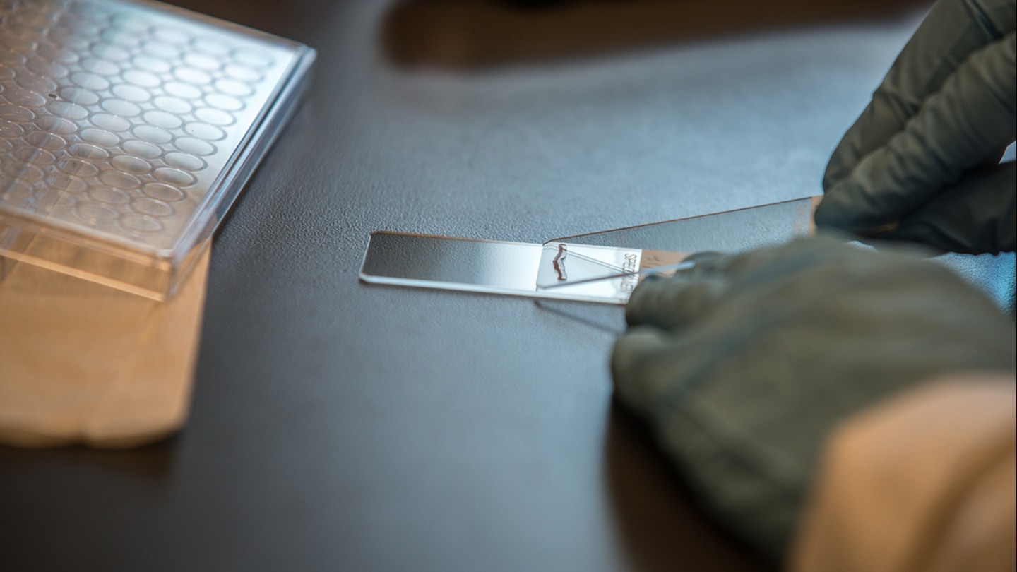 Eligibility | Program in Liberal Medical Education | Medical School ...